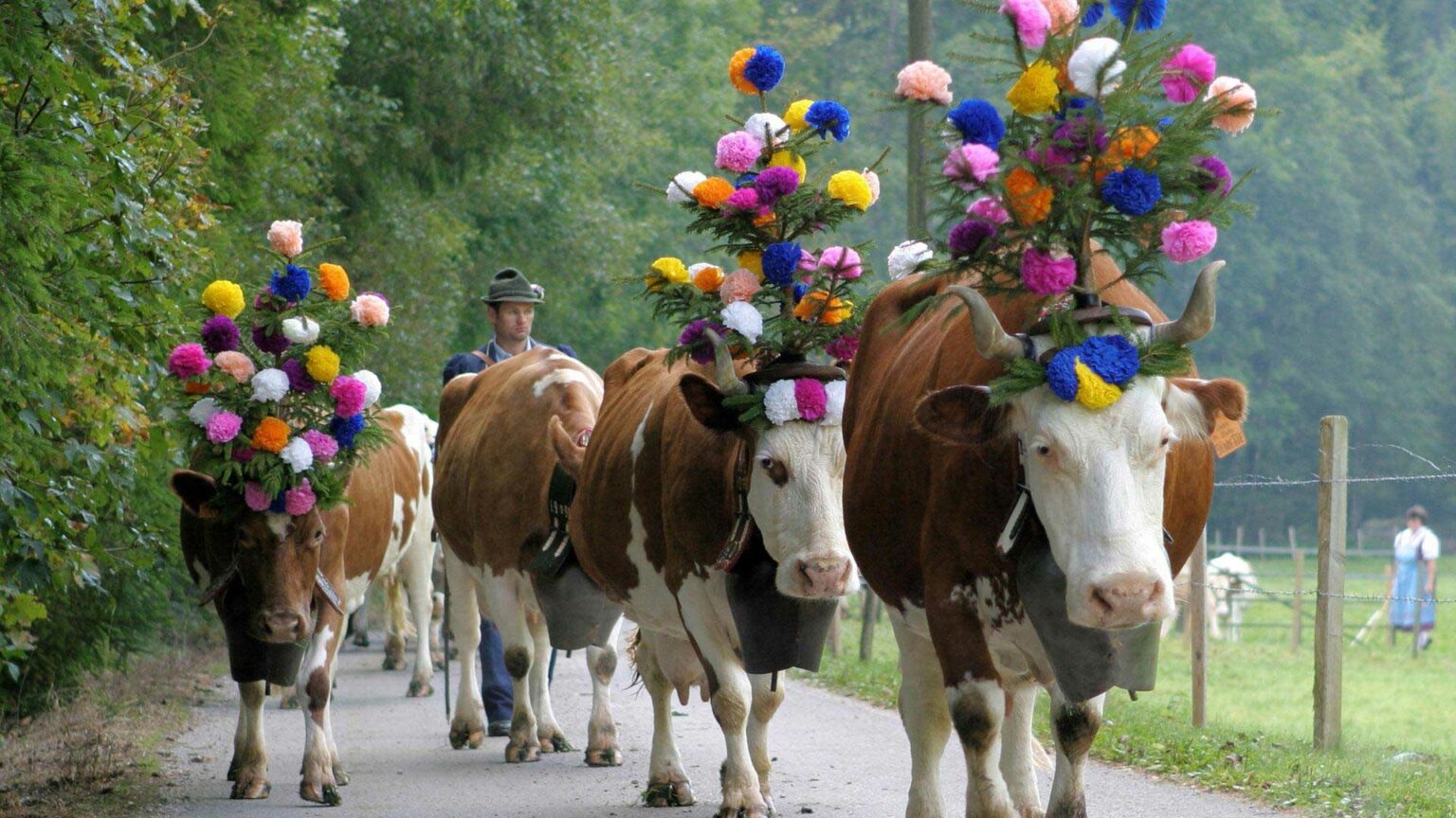 Places to visit | Region of Fribourg