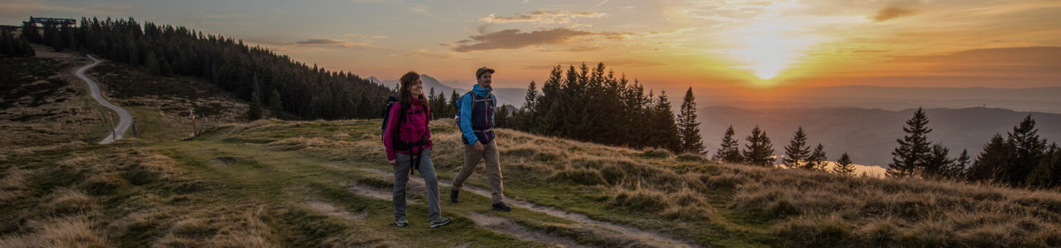 Wanderwege | Wunderbare Wanderungen im Freiburger Wanderland