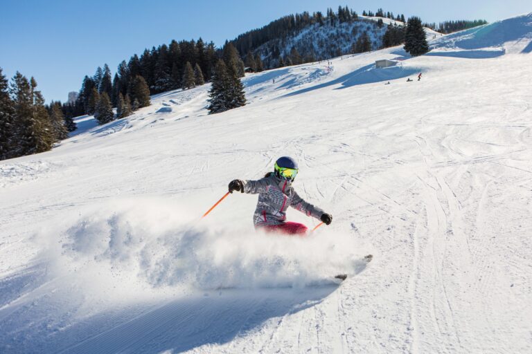 Ski resort of Les Paccots | Les Paccots