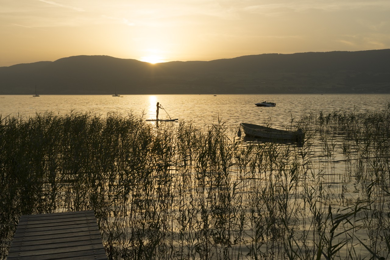 Plage des Lacustres | Estavayer-le-Lac Région