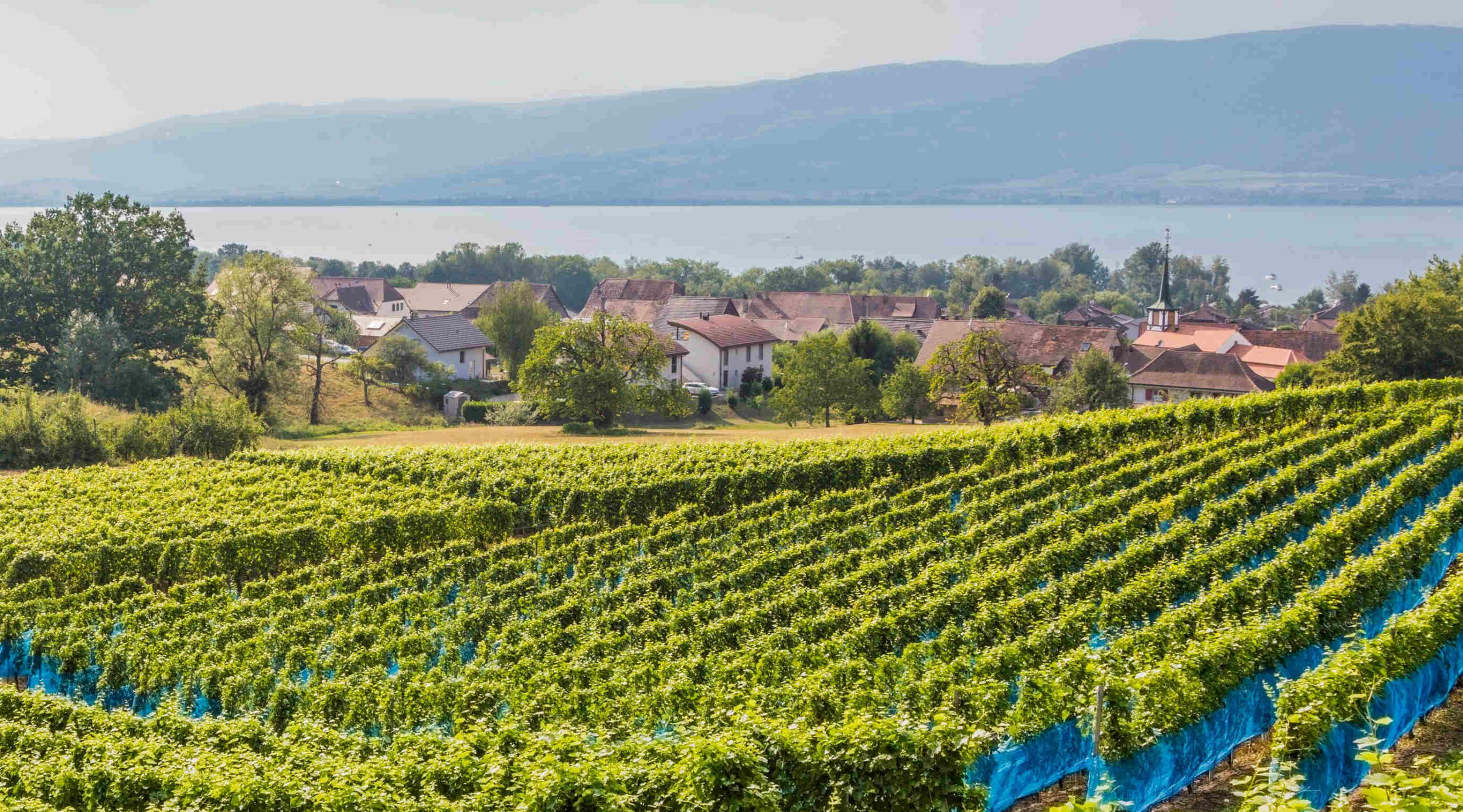 Cheyres & Châbles | Estavayer-le-Lac Région