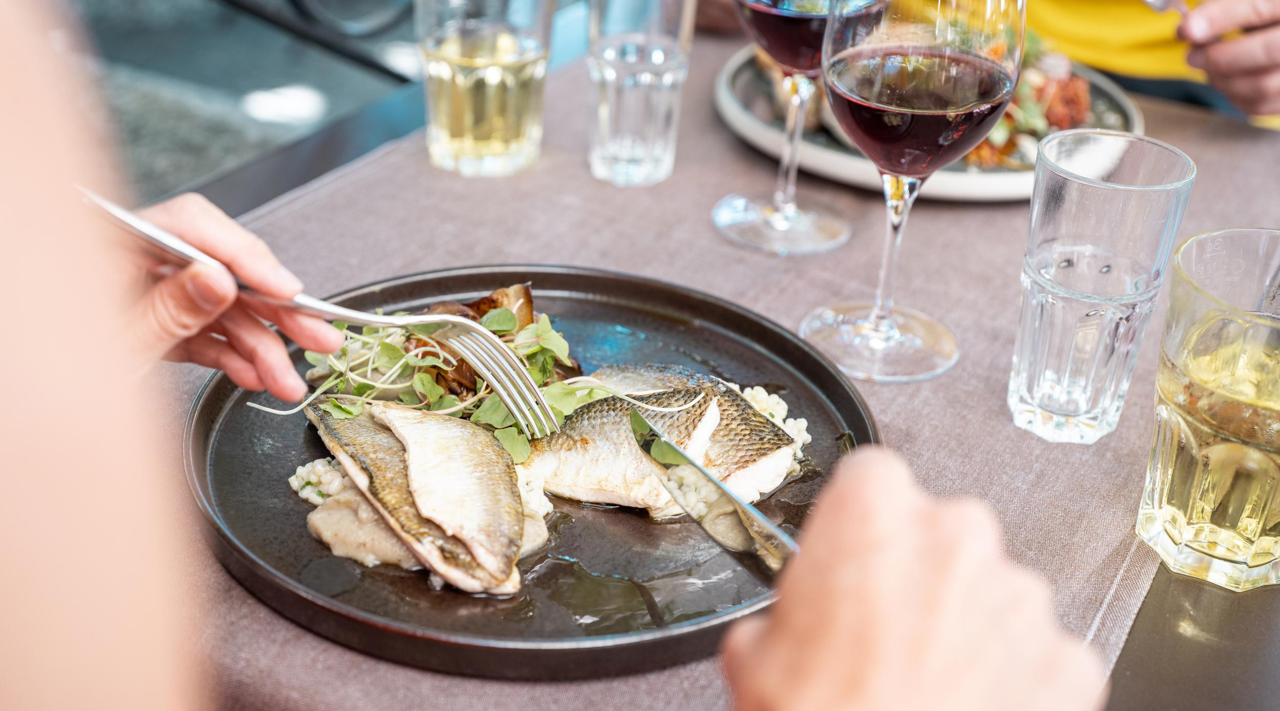 Pêcher son poisson du lac | Région de Fribourg