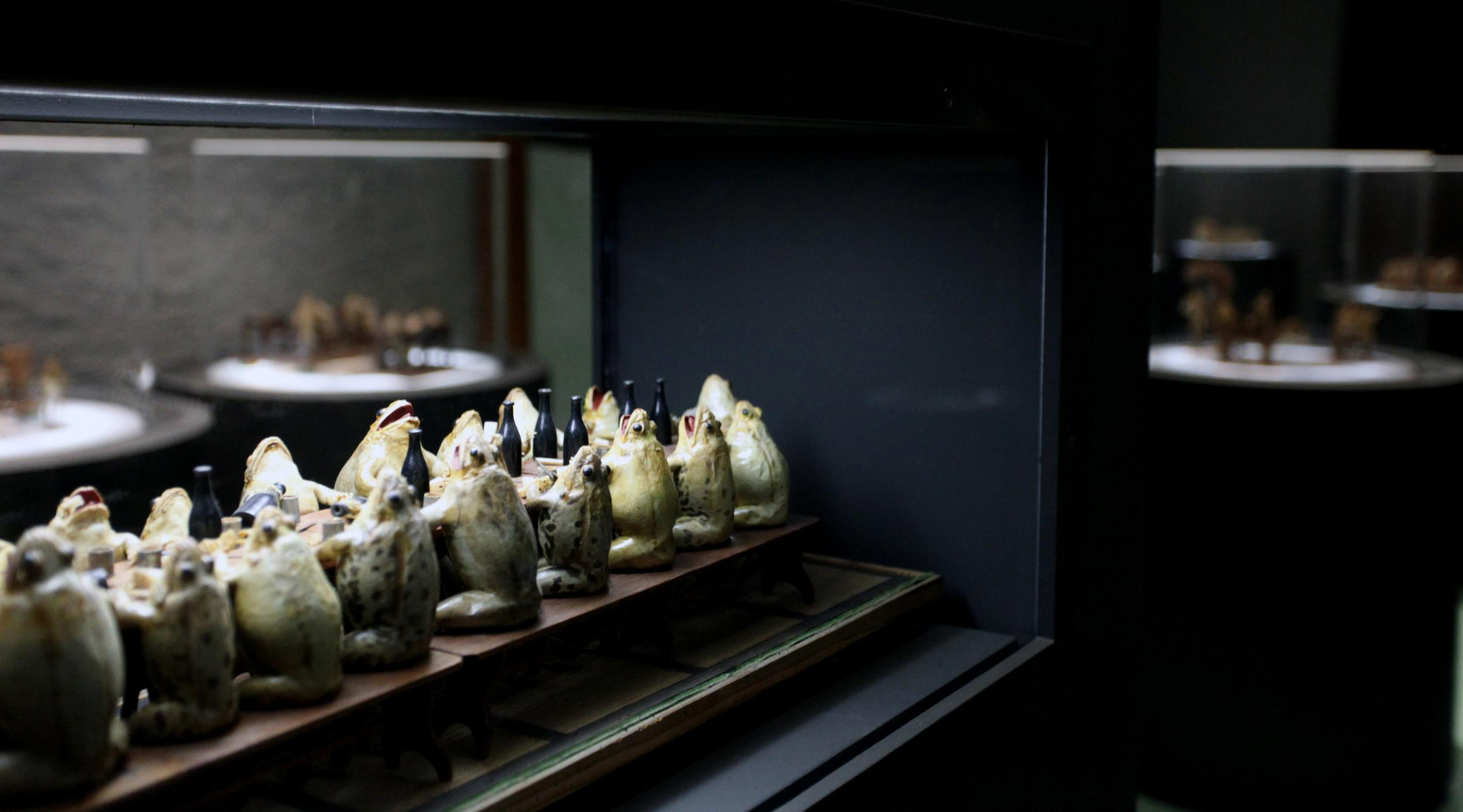 Frog museum | Région de Fribourg
