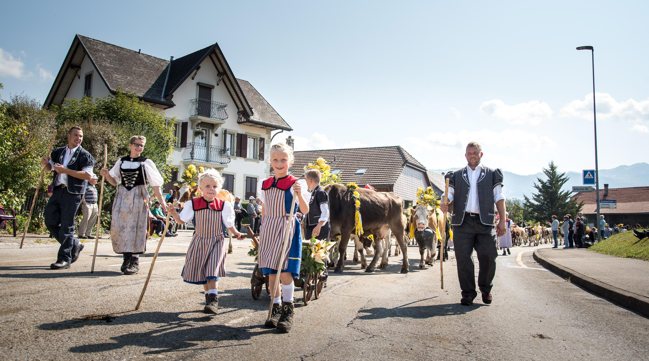 La désalpe, le temps fort de l’année! | Région de Fribourg