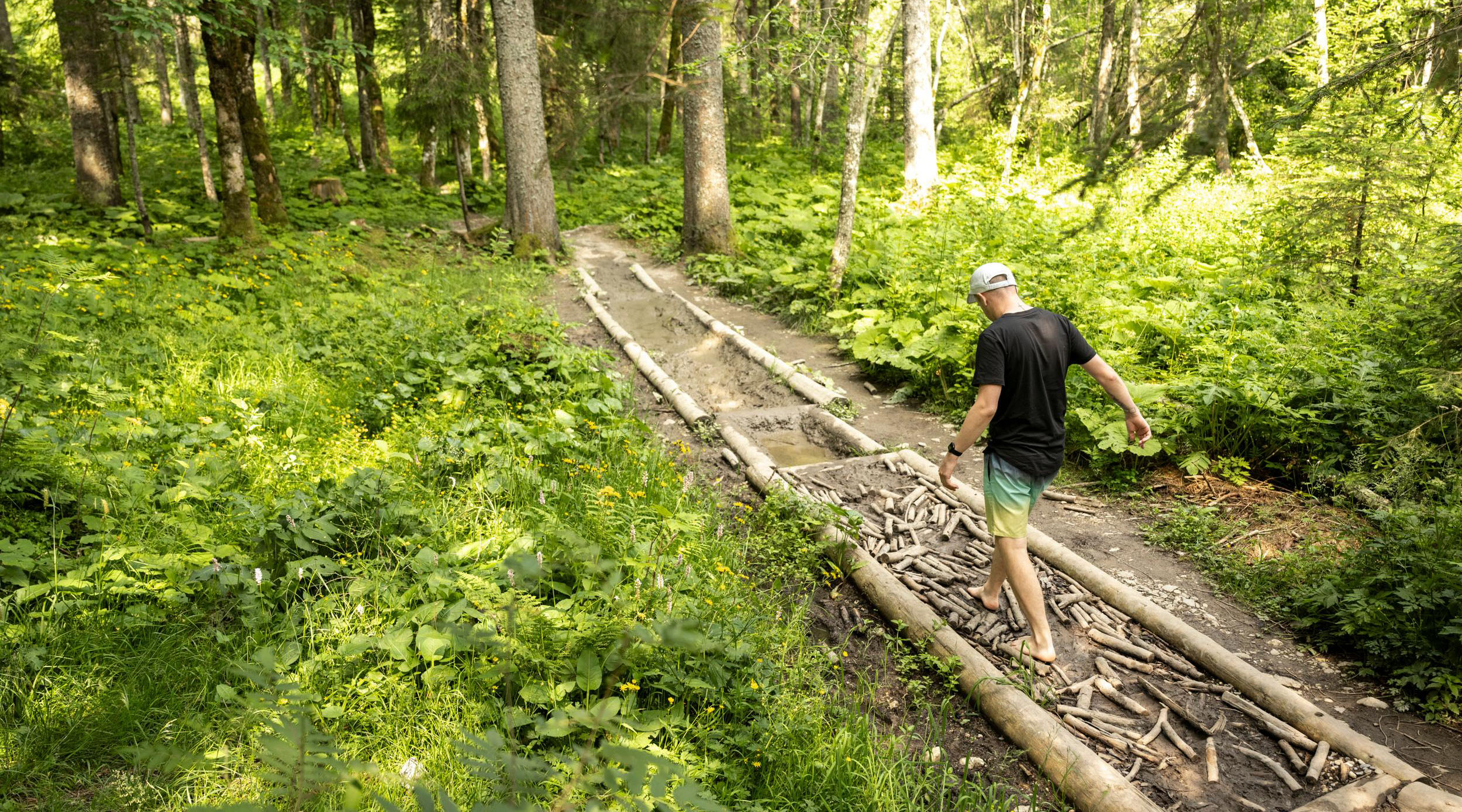 Kneipp path | Region of Fribourg