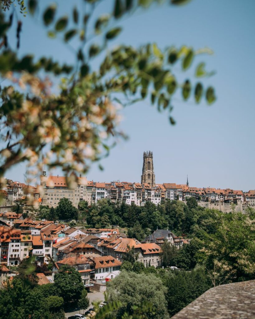 Freiburg Tourismus | Tourismusbüro der Stadt Freiburg und Region