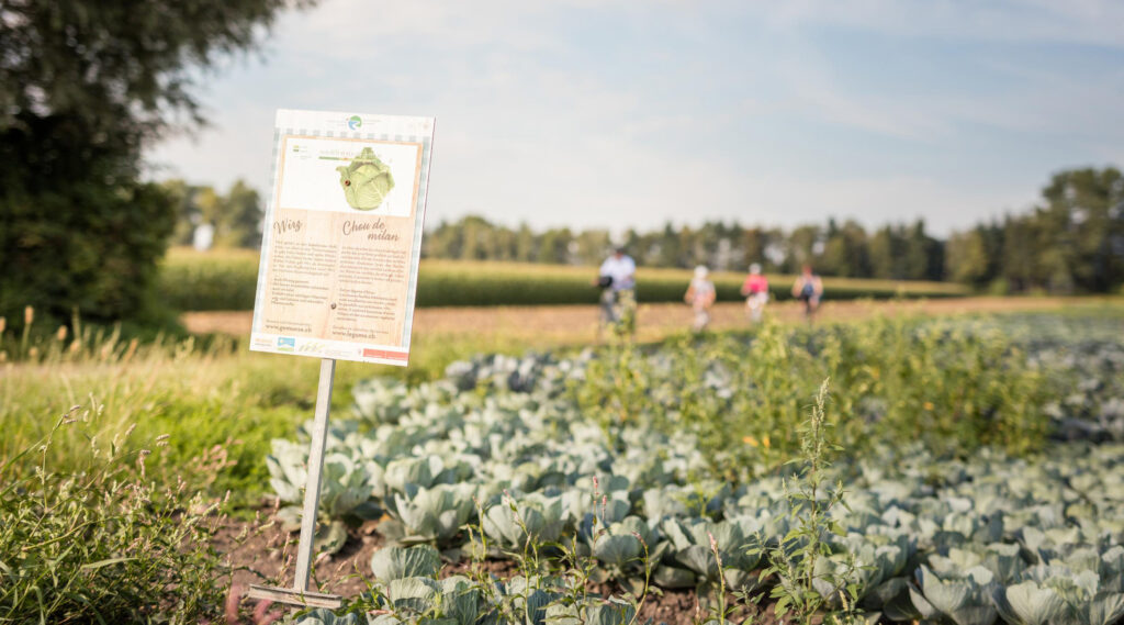 Seeland Gemüse lässt sich frisch und am besten Bio erleben.