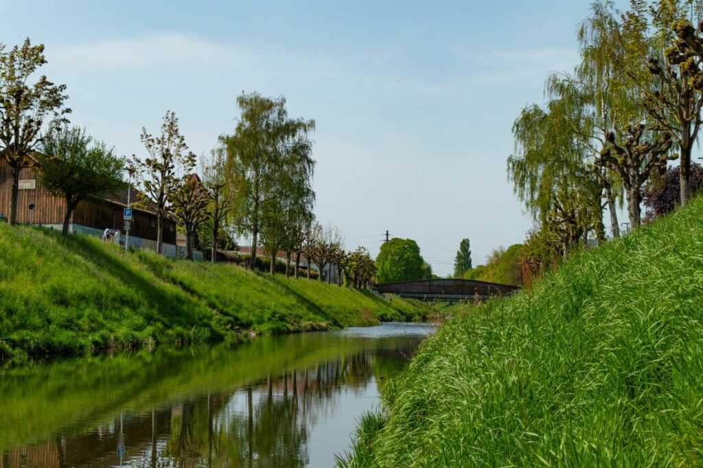 Payerne | its history and culture
