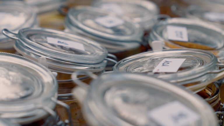 Recette | La moutarde de Bénichon | Région de Fribourg