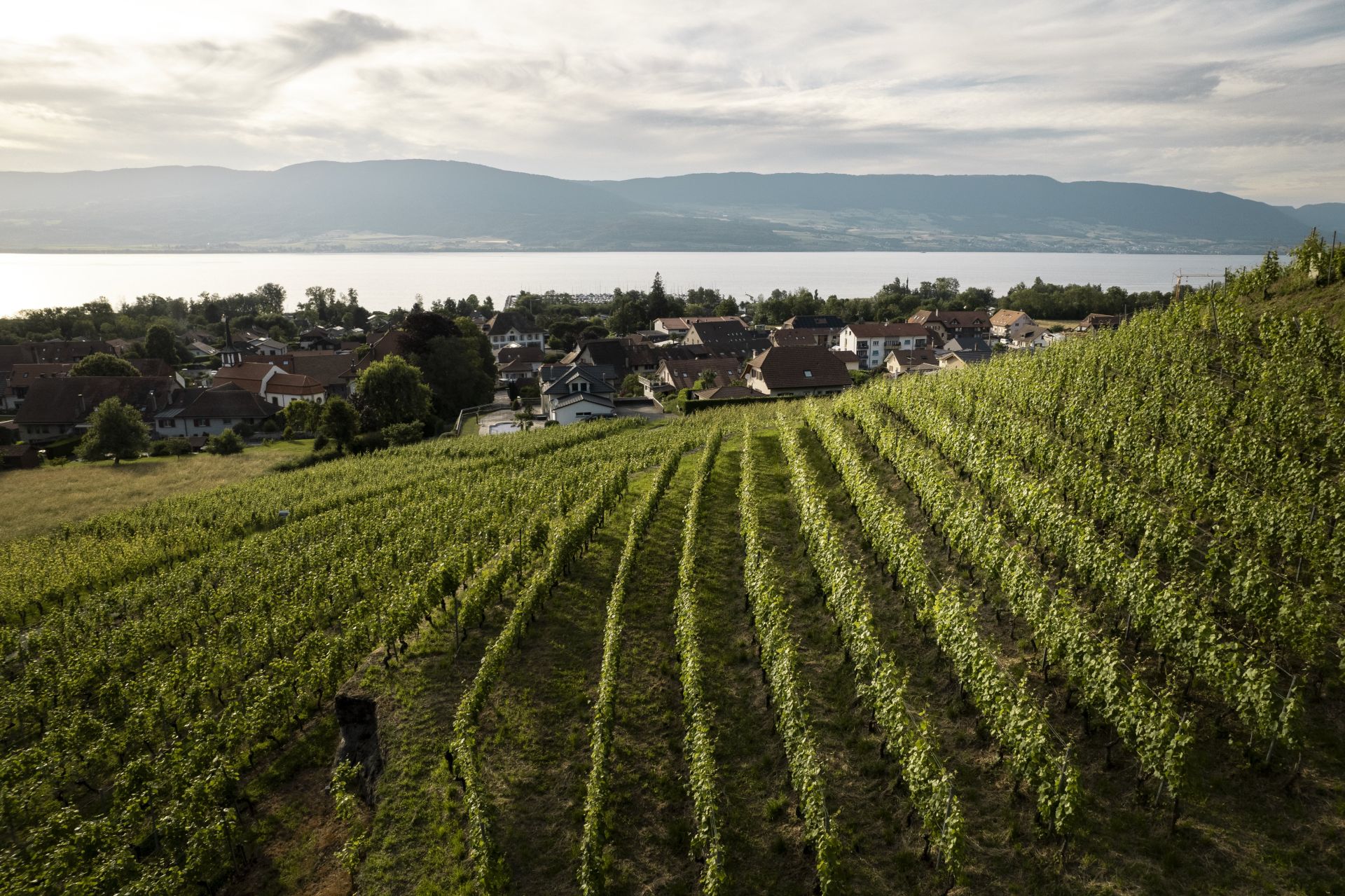 Cheyres & Châbles | Estavayer-le-Lac Région