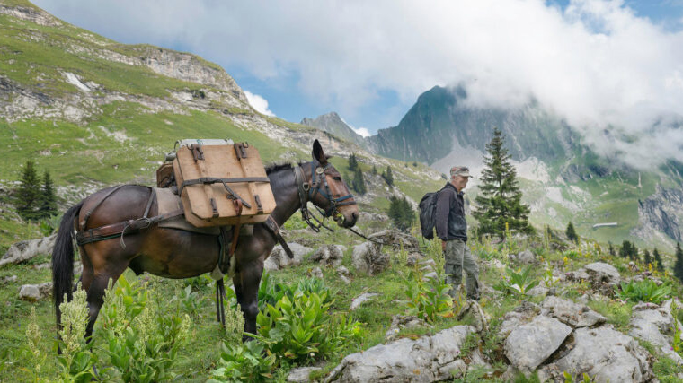 Mule Drivers and Mules in Gruyère: A Historical Tradition | La Gruyère