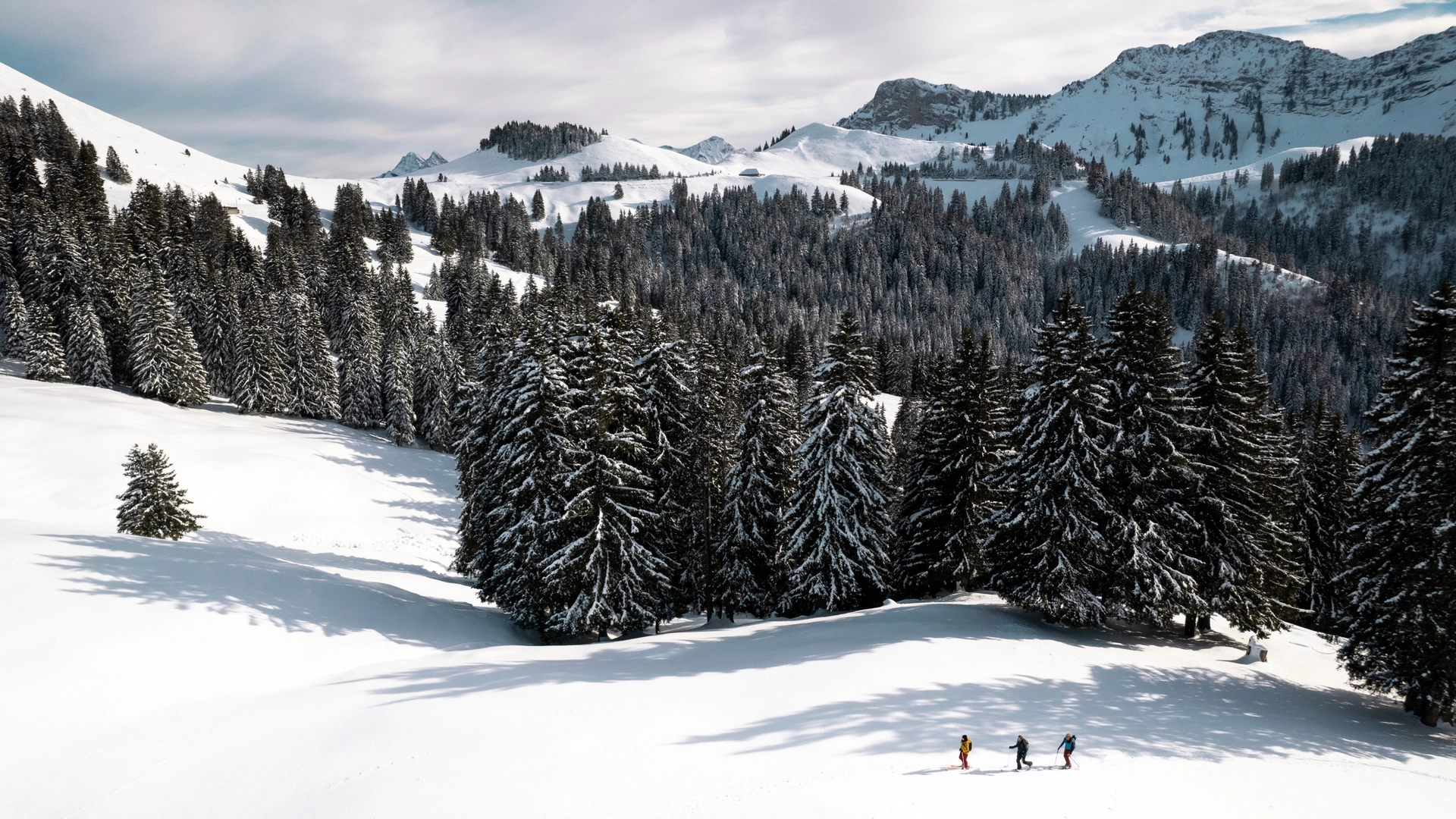 Ski resort of Les Paccots | Les Paccots