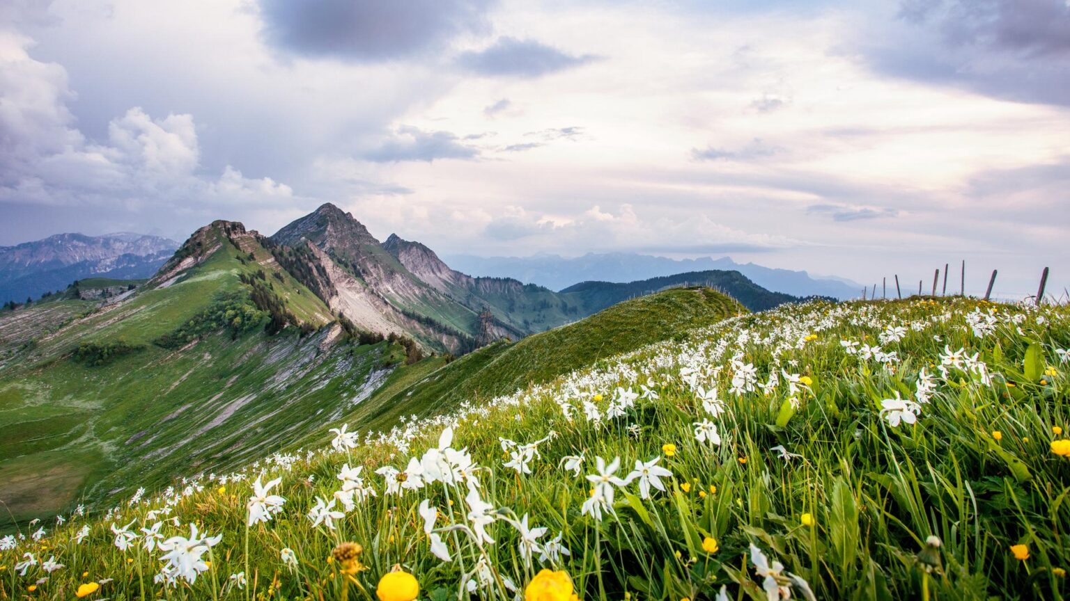 Les poyas | Région de Fribourg