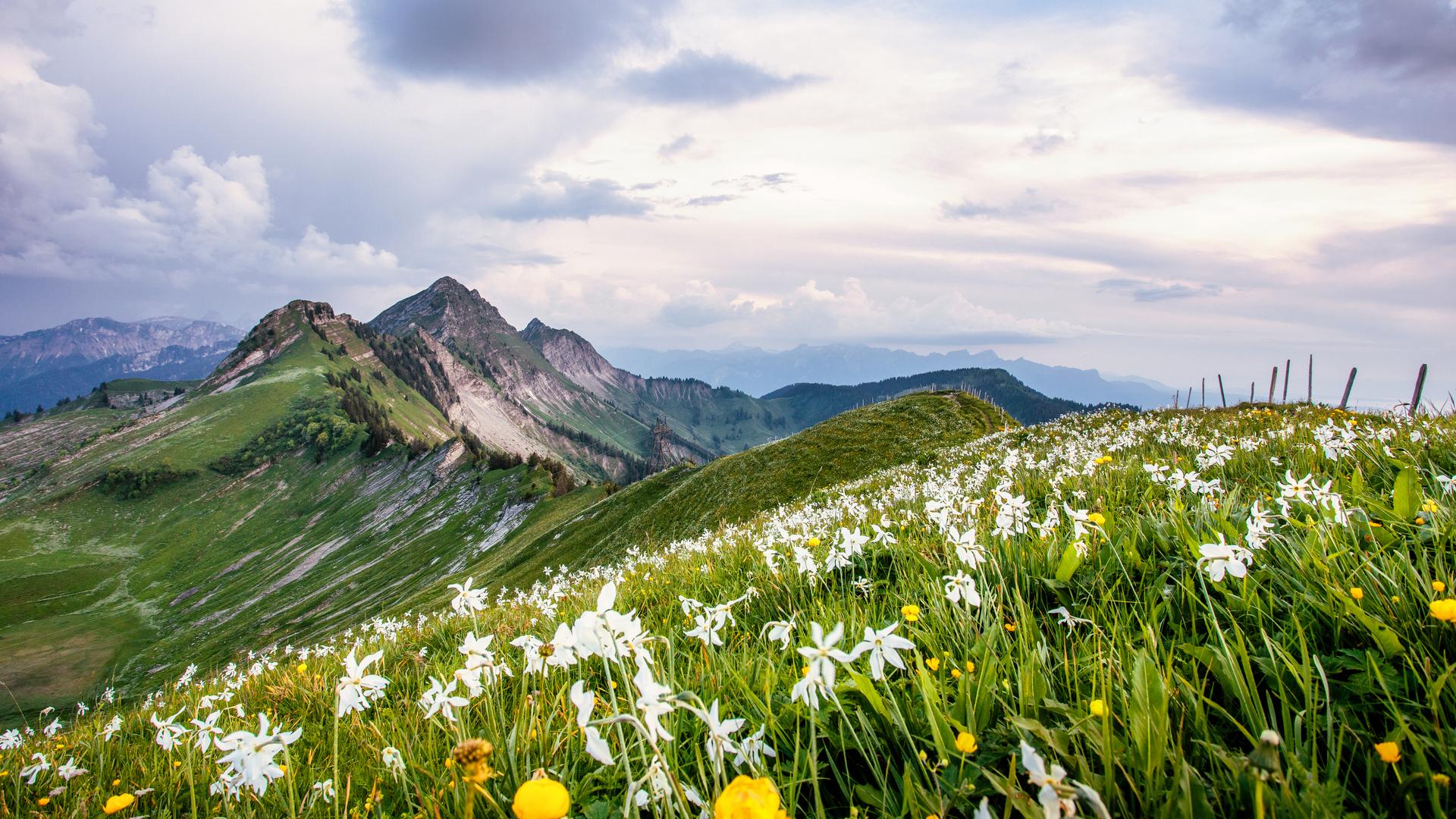 Les poyas | Région de Fribourg